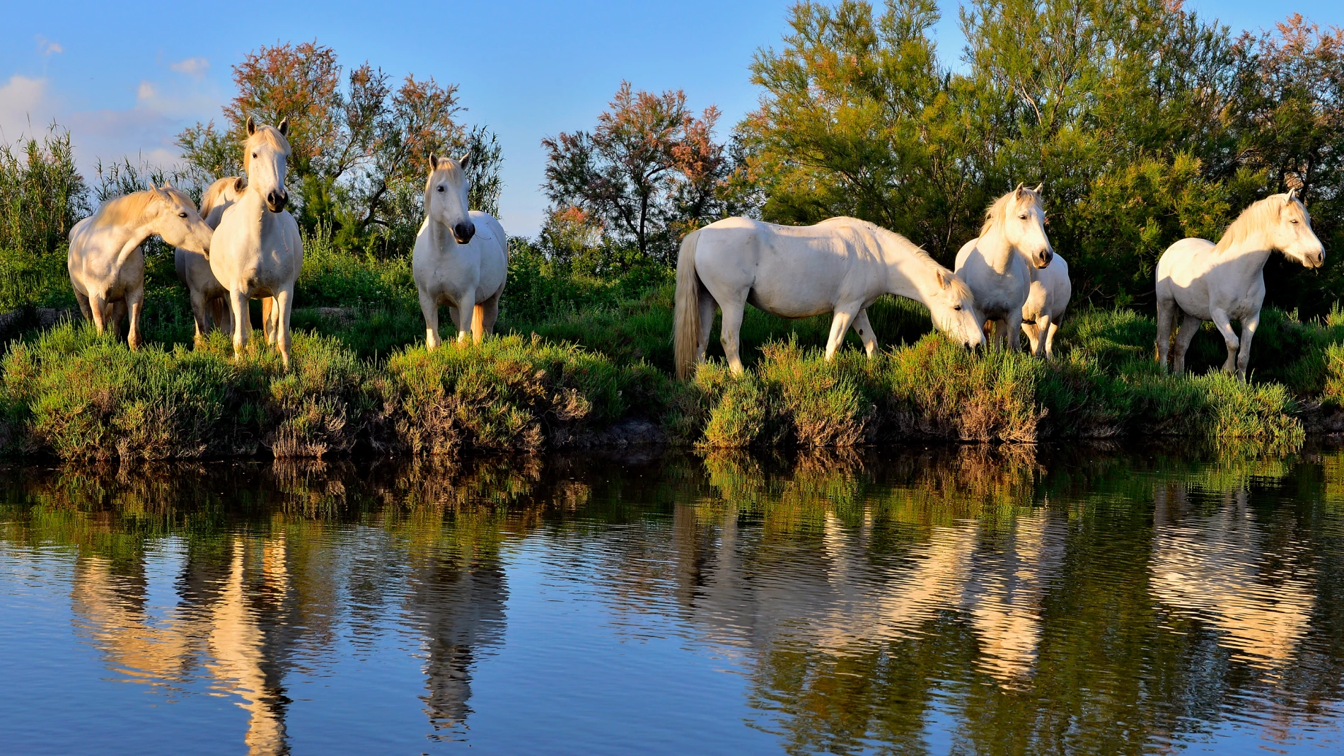 Provence Wanderferien | Twerenbold Reisen