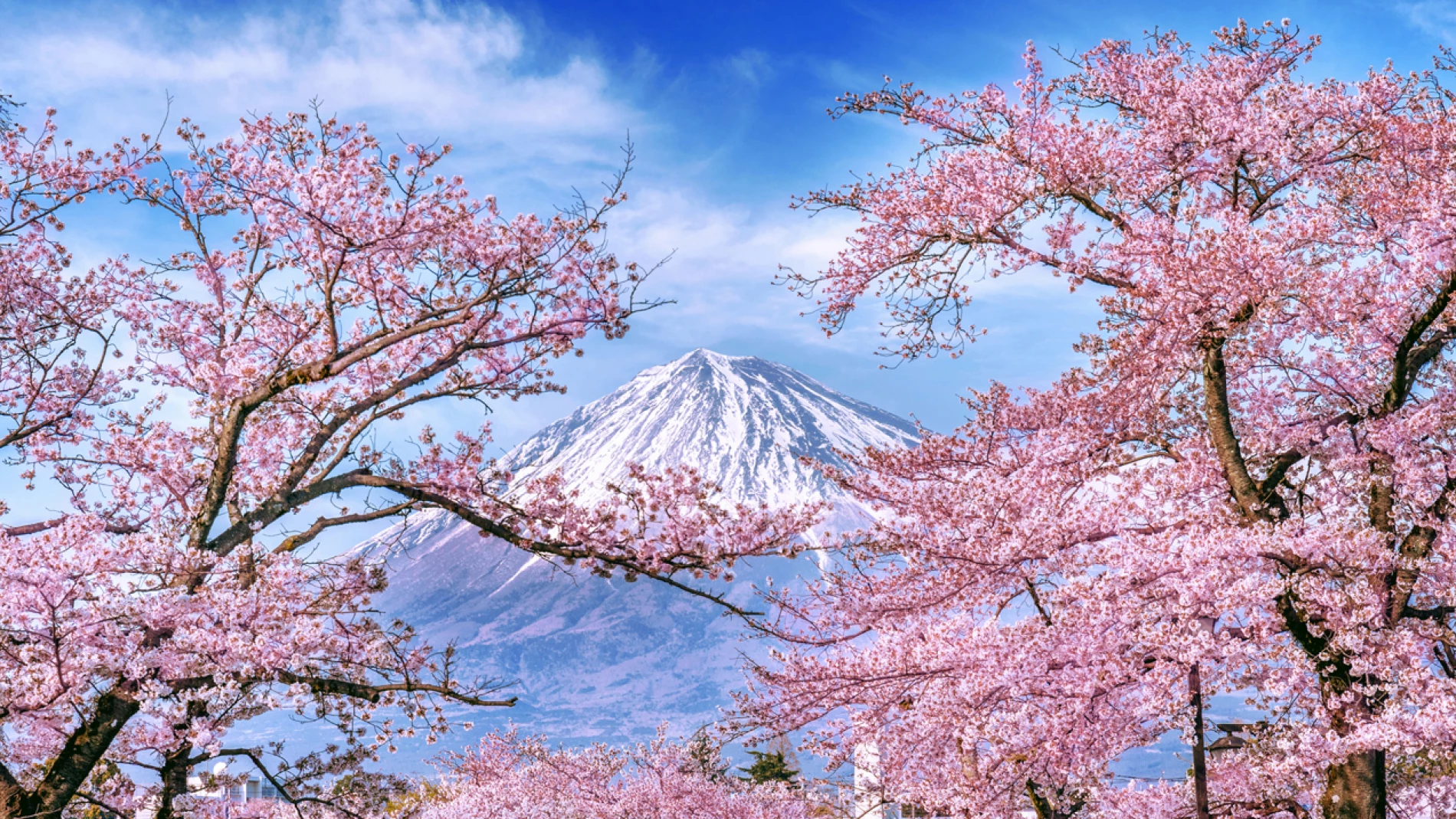 Wanderferien in Japan mit reicher Kultur inmitten faszinierender Natur ...